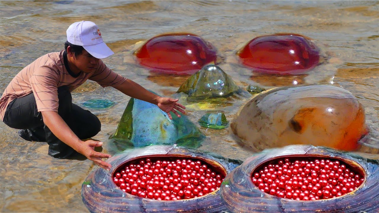 Surprised, the giant pearl crab hides countless pearls - YouTube