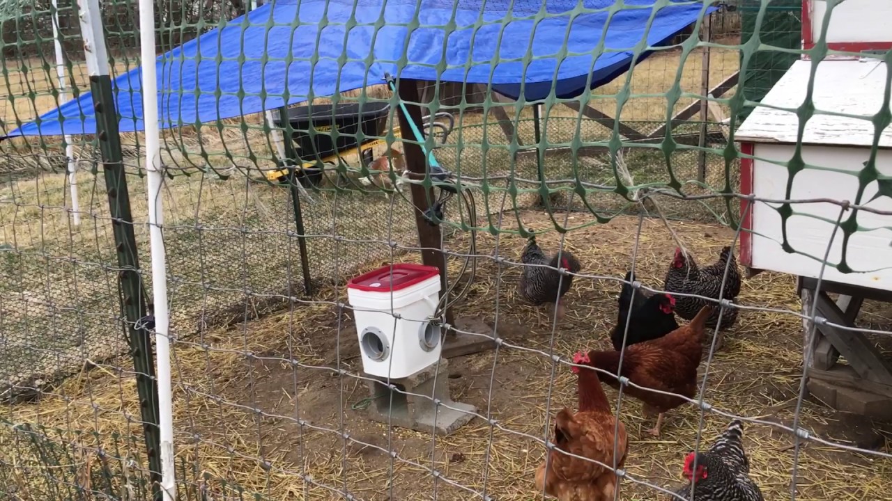 No waste chicken feeder - YouTube