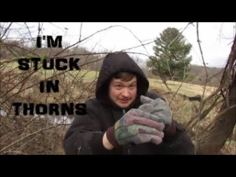 I Got STUCK in a THORN BUSH - YouTube