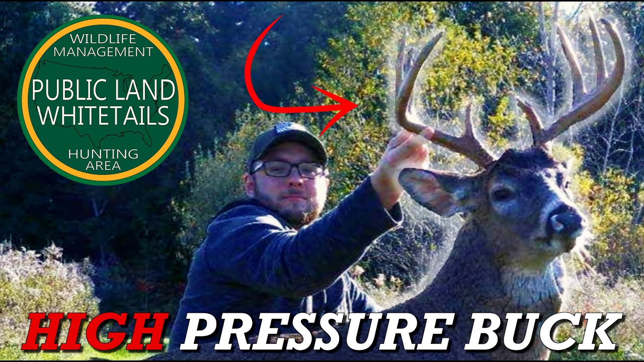 Big Michigan Buck | High Pressure Hunting | Nice Big Michigan Bucks ...