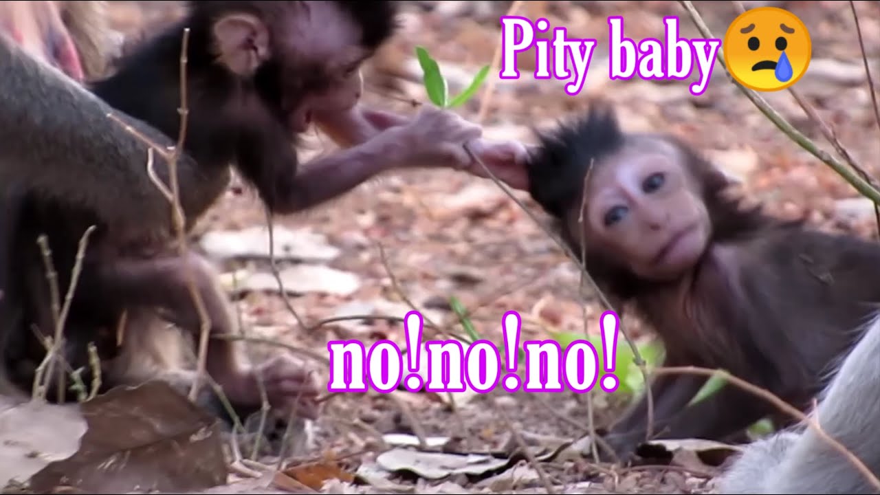 Very Pity Poorest Skinny baby, He was very thin not very grown-popular ...