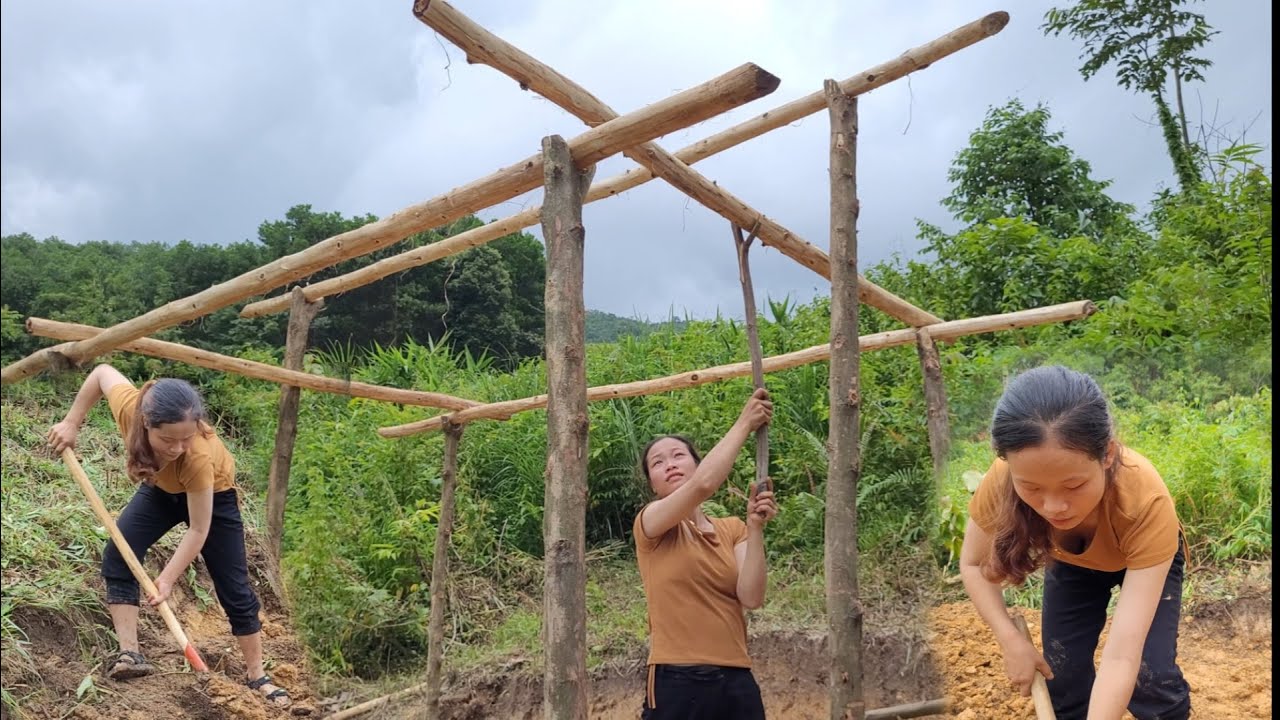 Find a place to dig the foundation, build a frame, prepare to build a ...