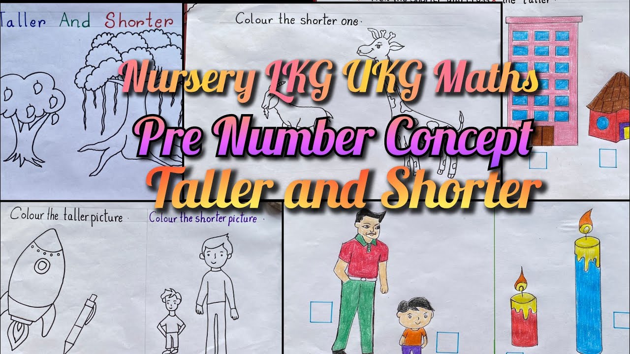 Nursery/LKG/UKG Maths /Pre Number Concept/ TALLER AND SHORTER/Worksheet ...