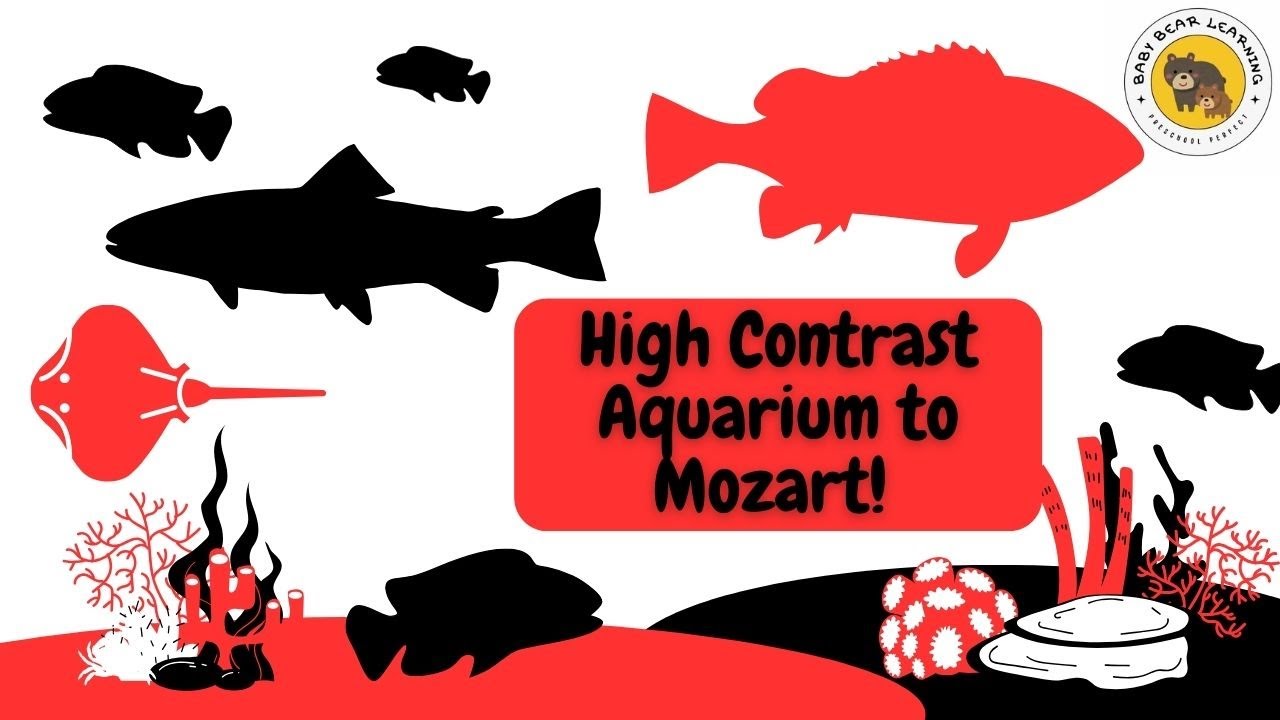 High Contrast Baby Video | Fish Swimming to Mozart's Music | Black and ...