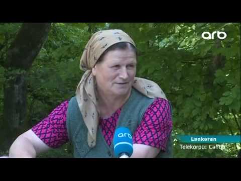 Şərqiyyə nənənin dəmlədiyi çayın ətri bir başqadır