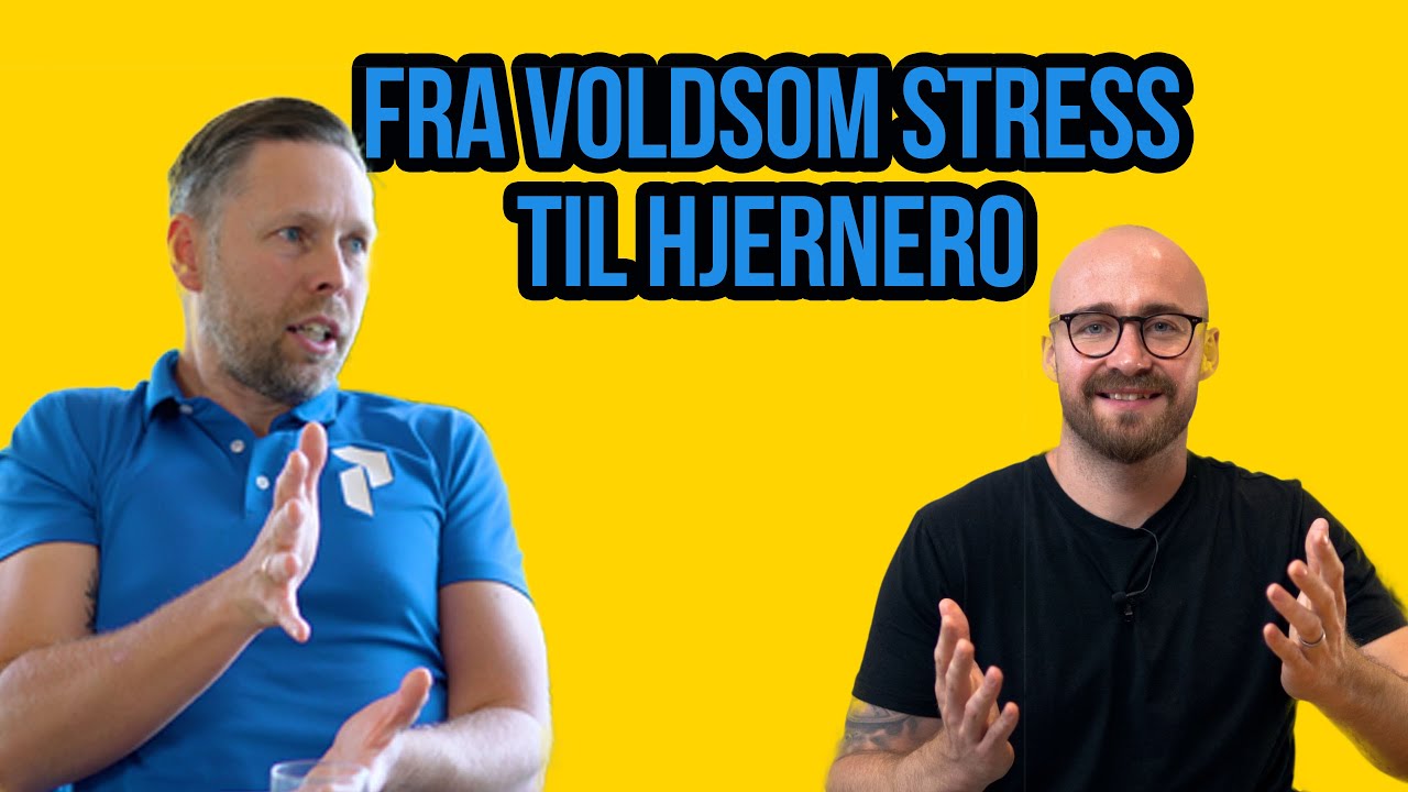 Fra voldsom stress til HjerneRO - 35 minutters ufiltreret samtale om at ...