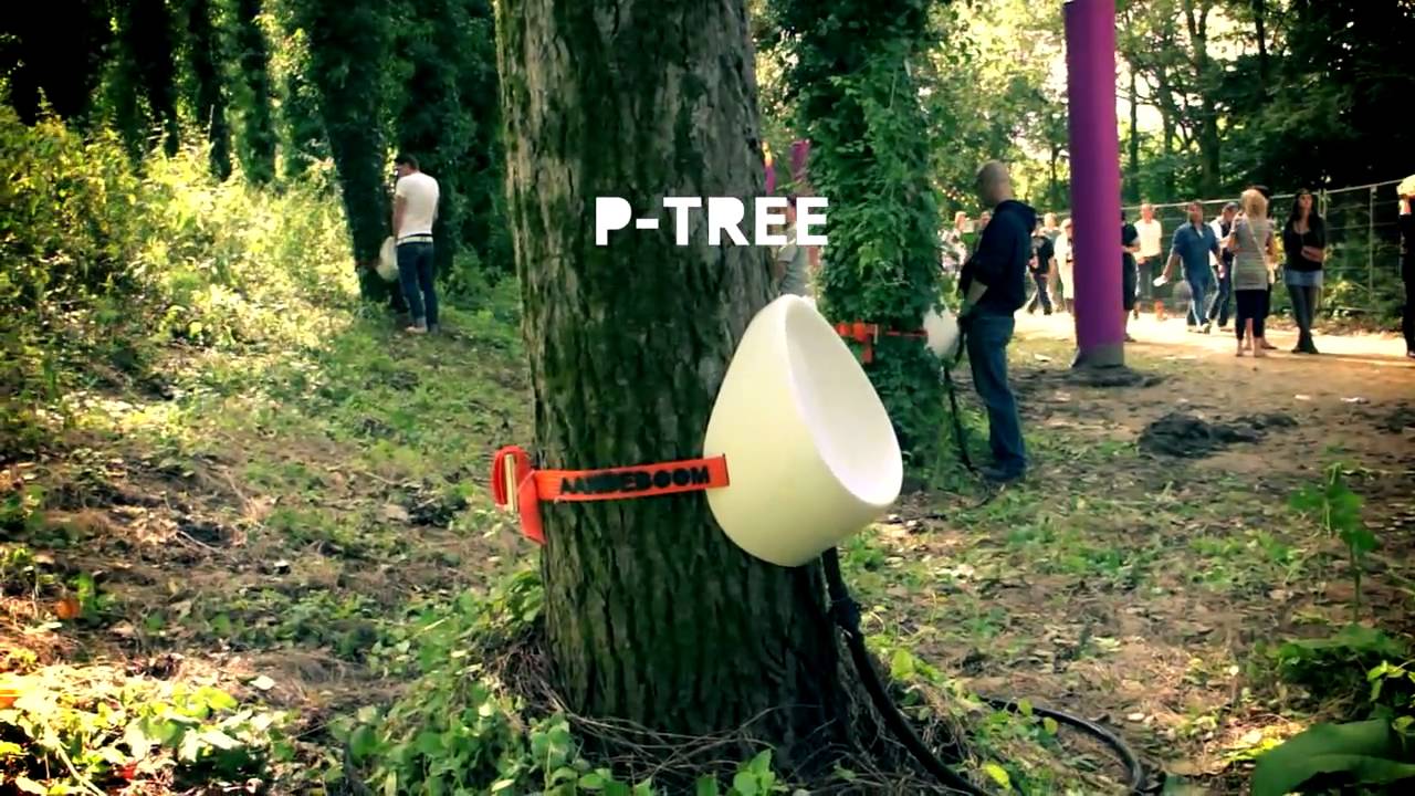 P-Tree - YouTube