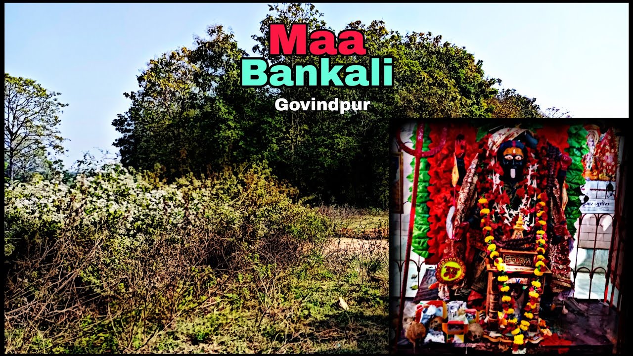 Bankali Mandir Govindpur Dhanbad| Maa Bankali Khudia Nadi Mandir ...