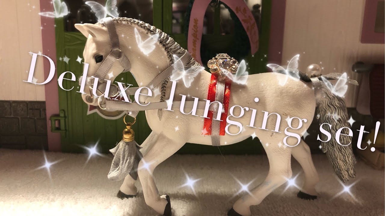 New deluxe lunging set for moonlight with Diamonds?-Vickycorn loves ...