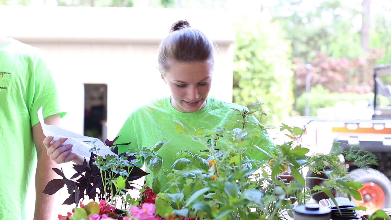 Landscape Gardening - YouTube