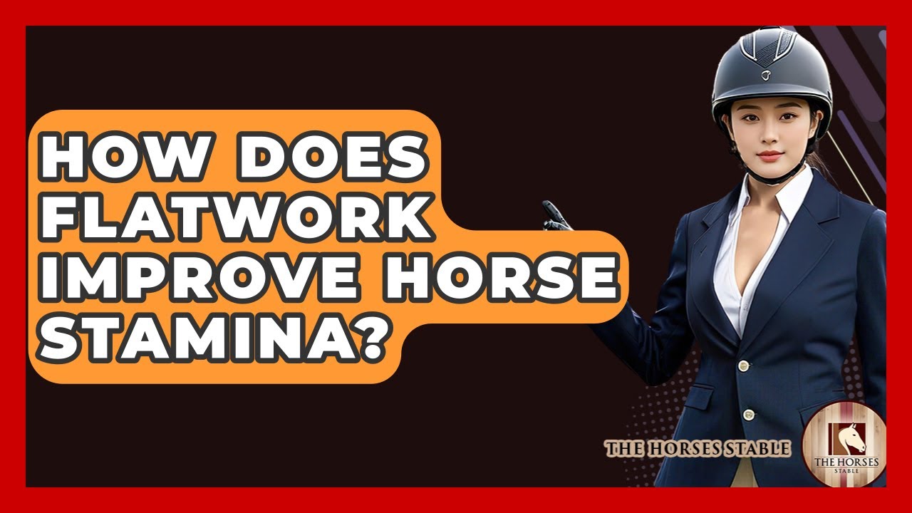 How Does Flatwork Improve Horse Stamina? - The Horses Stable - YouTube