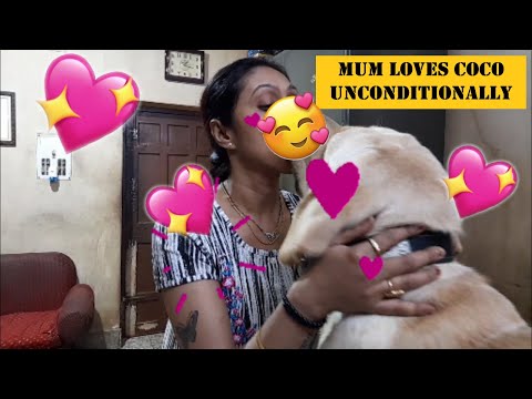 MUM SHOWERS LOVE ON COCO | WATCH THE FUNNY & LOVING VIDEO OF MUM ADORING CRAZY COCO...🥰💖🥰💖🥰💖🐕‍🦺🐕‍🦺
