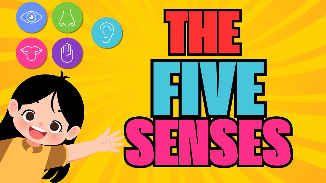 Let’s Learn the 5 Senses! Sight, Taste, Touch, Hearing & Smell for Kids ...