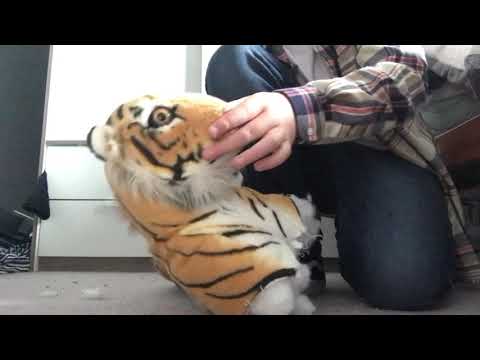 Big tiger plush destruction - YouTube