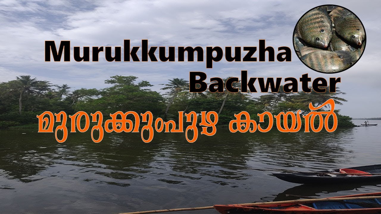 MURUKKUMPUZHA KAYAL - YouTube
