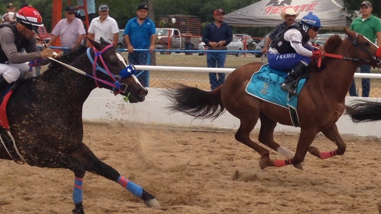 CARRERAS DE CABALLOS**Futurity**LA PILON - YouTube