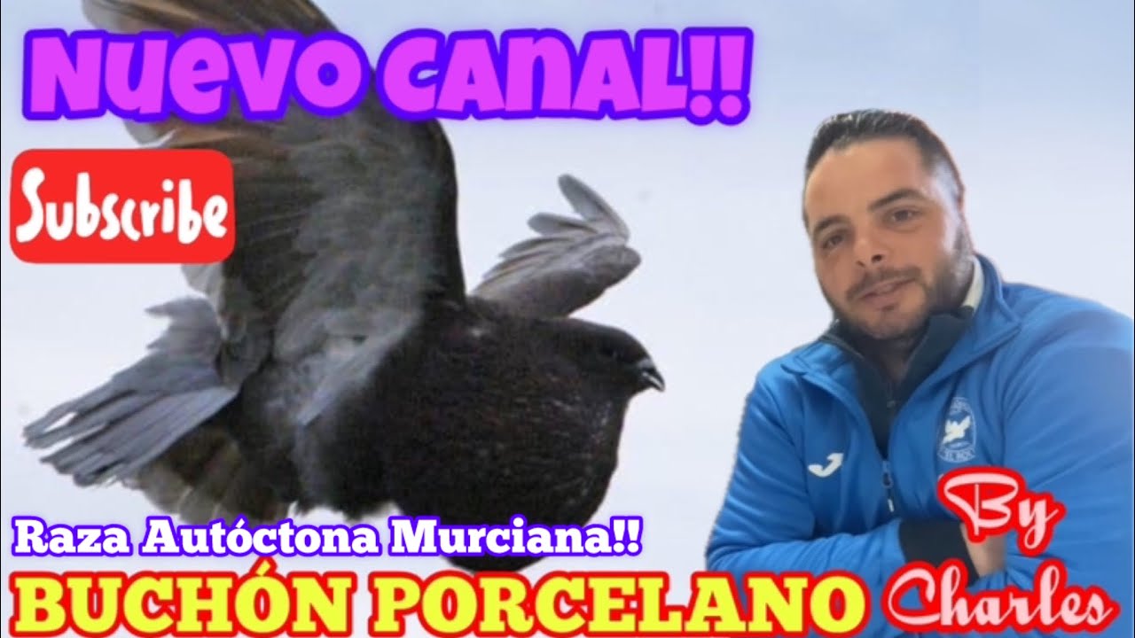 En este Canal podremos saber Más sobre la Raza Murciana buchón ...
