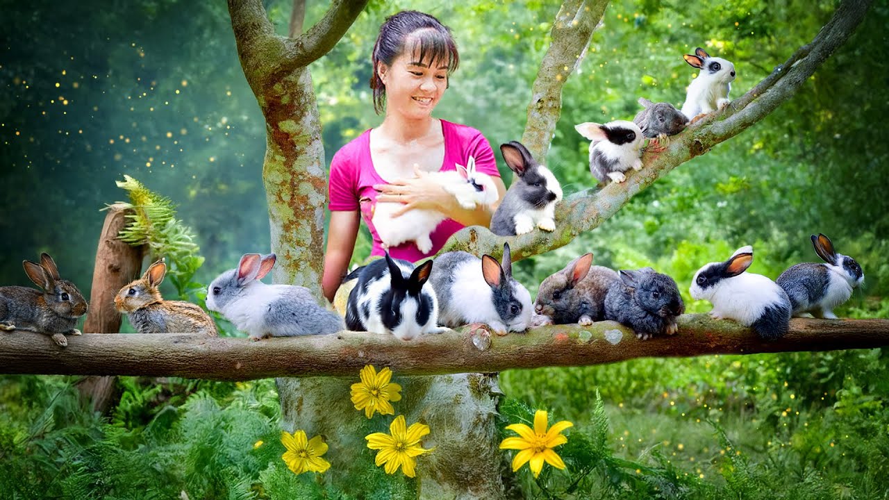 Harvesting Rabbits and Pheasant Chickens to Sell at the Countryside ...