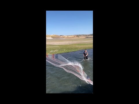 serpme ile balık avı 2023