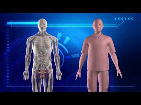 First penis transplant in the U.S. successfully performed at Massachusetts General Hospital