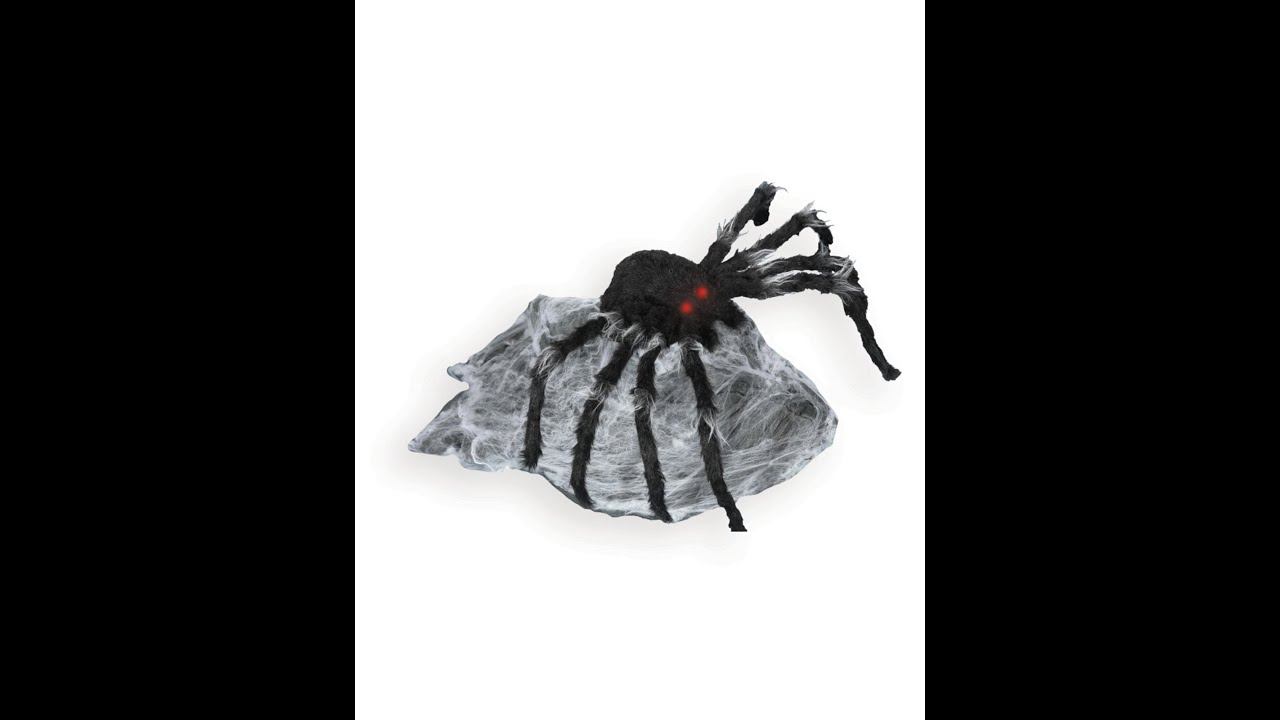 Tekky Toys Animated Jumping Spider Audio Rip (2010 Produced Version ...