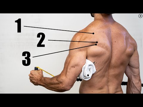 What Muscle Does The Shoulder Internal Rotation Exercise Work