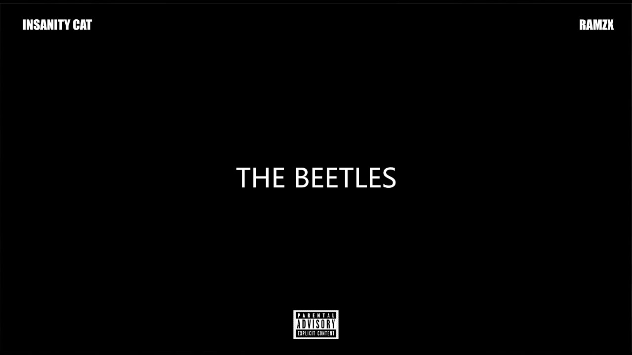 Insanity Cat - The Beetles (feat. Ramzx) [Official Art Track] - YouTube