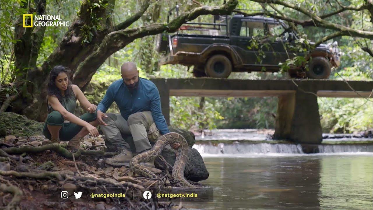 Snakes SOS: Goa's Wildest | Coming Soon | National Geographic - YouTube
