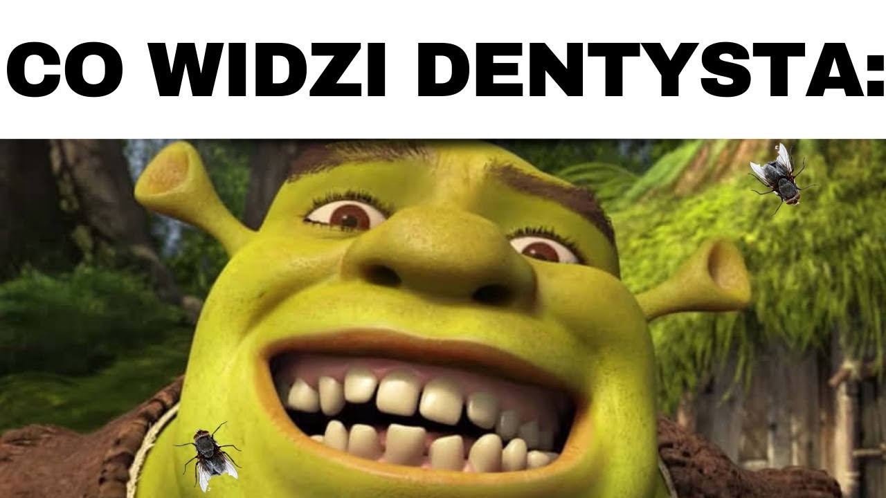 Dzienna Dawka MEMÓW 🤣 |159| Polskie memy 2024 | Memy po Polsku | - YouTube