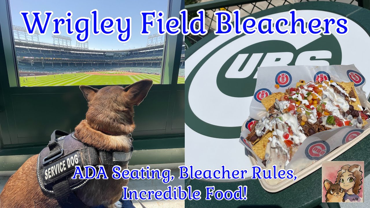 Bleachers at Wrigley Field | ADA Seating Section | Bleacher Rules and ...