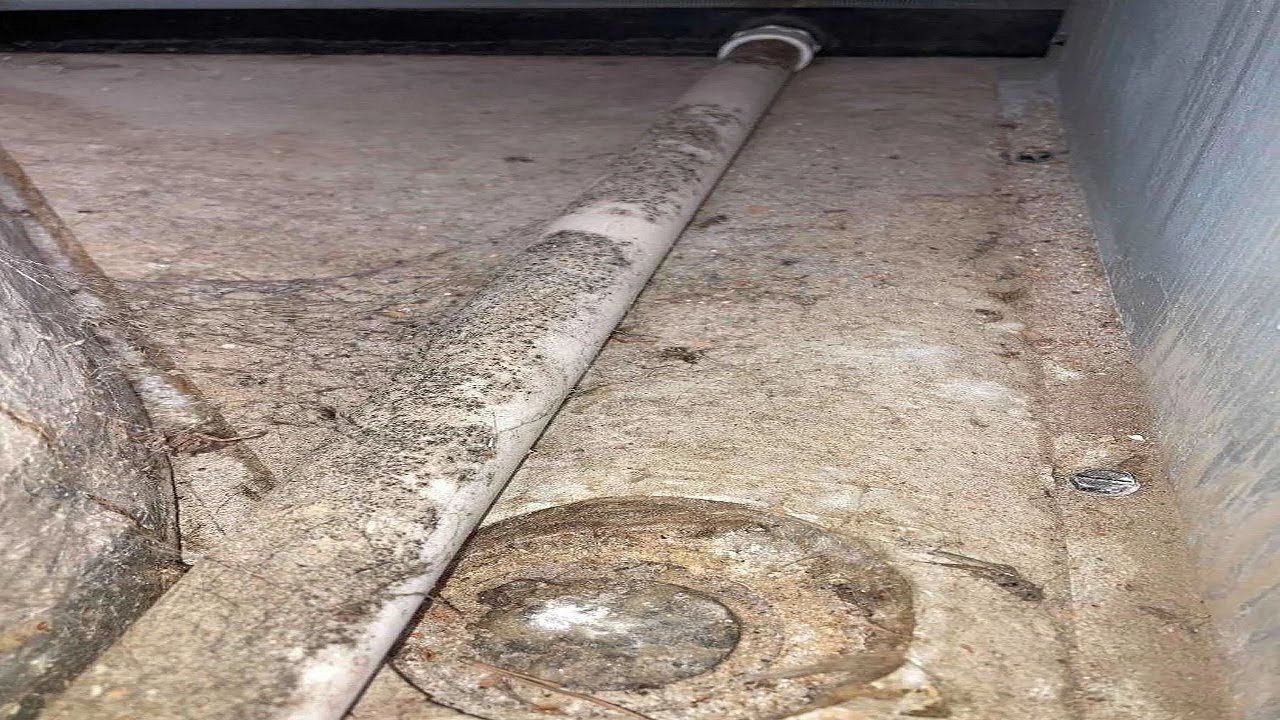 How to deal with Mold in our HVAC Unit - YouTube