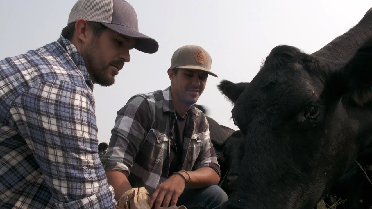 Meet fourth-generation farmers Matt and Joe Brugger - YouTube