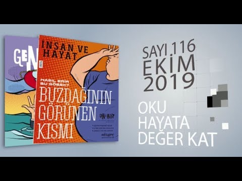 Nasıl Erir Bu Göbek? İnsan ve Hayat Ekim 2019