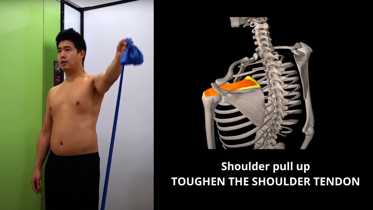 Shoulder pull up - TOUGHEN THE SHOULDER TENDON - YouTube
