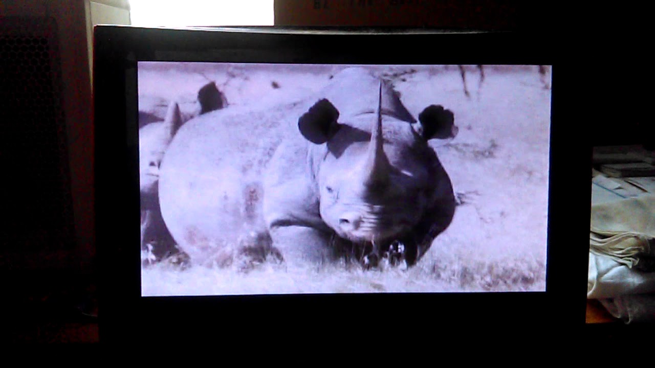 Playing Game 3 of bEqual Madagascar Trivia DVD Game - YouTube