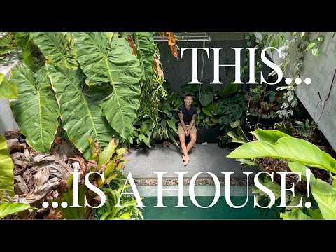 Haus im Gewächshaus! Wohnen mit Pflanzen | Seltene exotische Aronstabgewächse, Palmen und mehr!