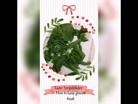 Yeşillikleri nasıl taze tutarım, how to keep greens fresh?