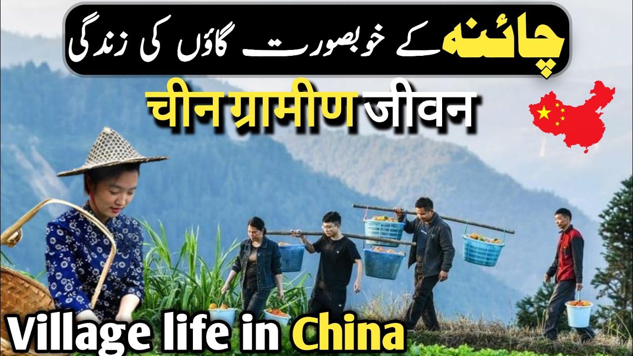 China 🇨🇳 Village life Documentary in Urdu and Hindi | چائنہ کے گاؤں کی ...