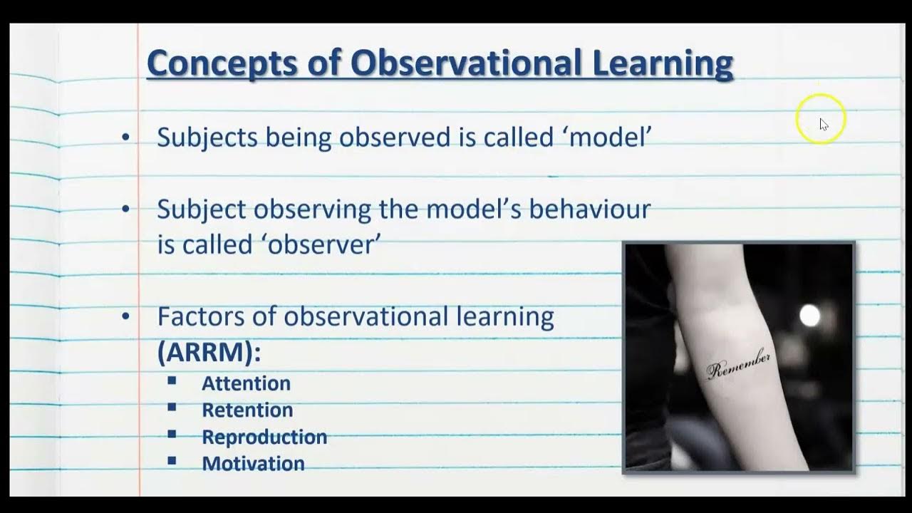 Observational Learning & The BoBo Doll Experiment - The Psychology of ...