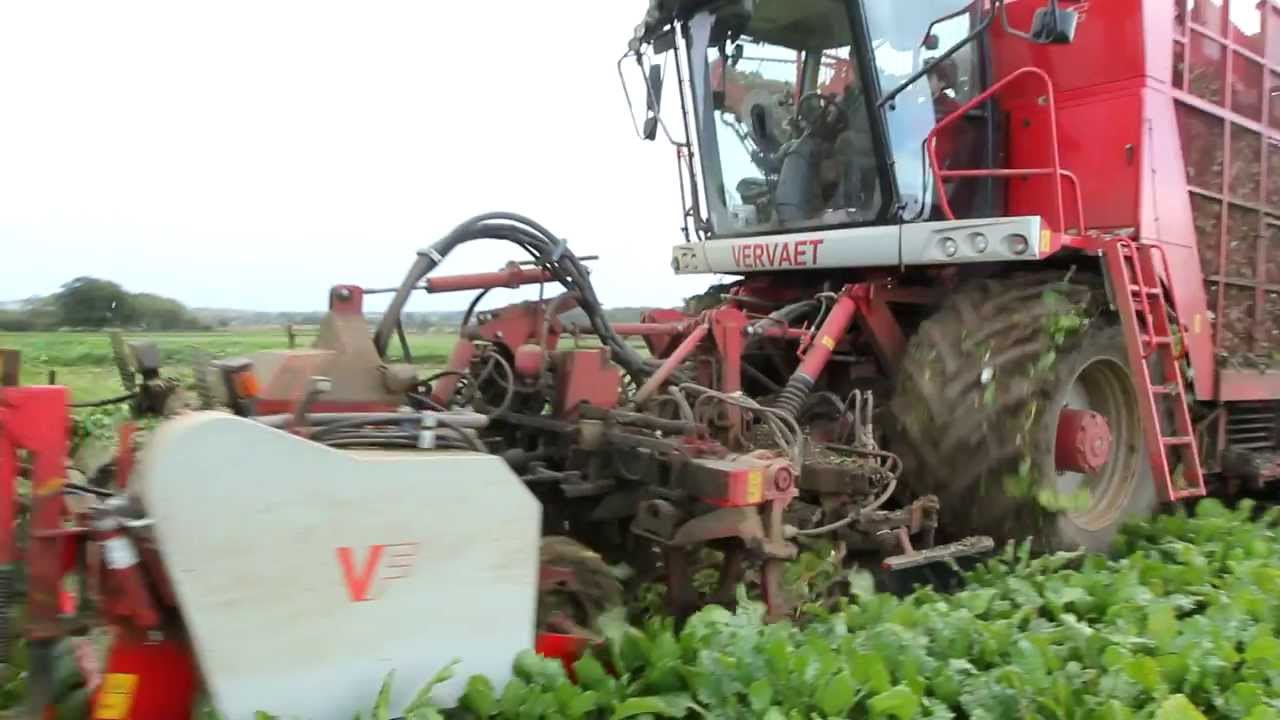 Sugar beet harvesting and loading | Farming Photography | The Content Farm