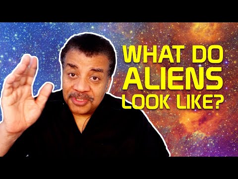 Alternative Aliens with Andy Weir and David Grinspoon