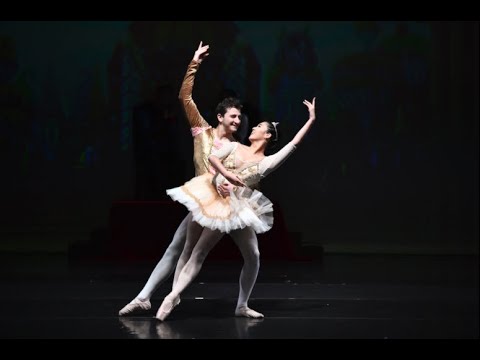 Cardinal Ballet Nutcracker Trailer - YouTube