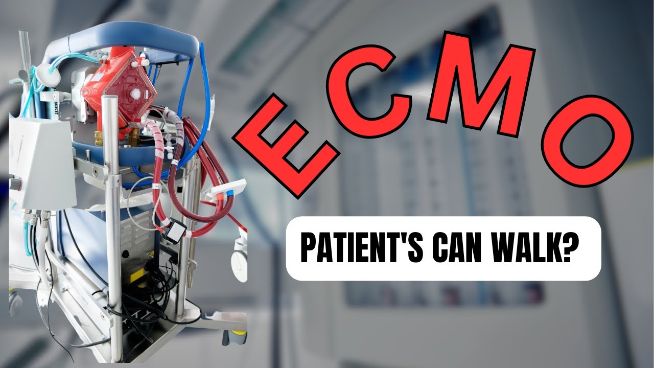 ECMO Patient Care: A Nurse's Guide to Managing Extracorporeal Life ...