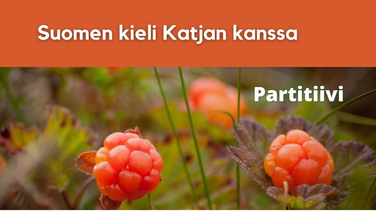 Partitiivi | Suomen kieli Katjan kanssa - YouTube