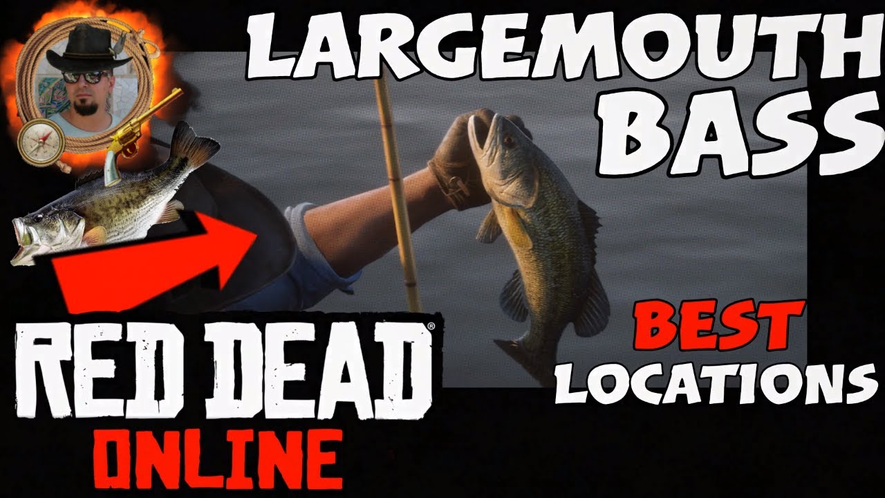 Largemouth Bass RDR2 Online - YouTube