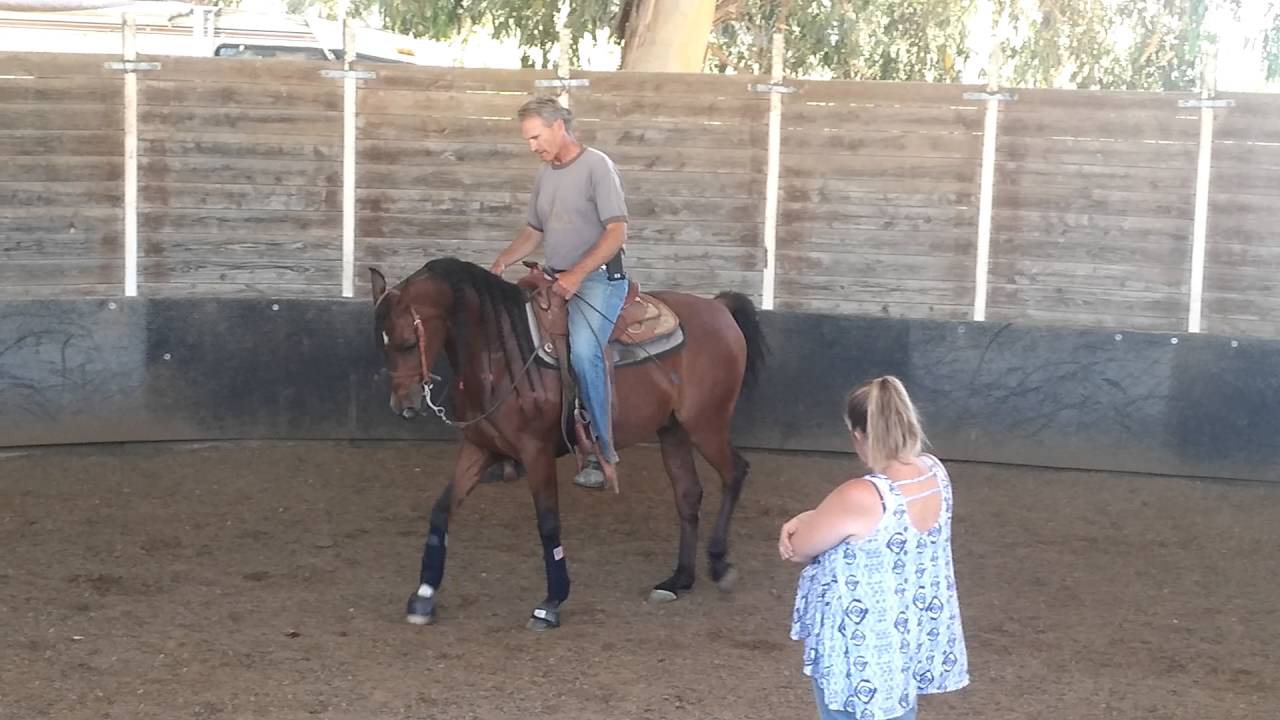 Jim riding Freedom - YouTube