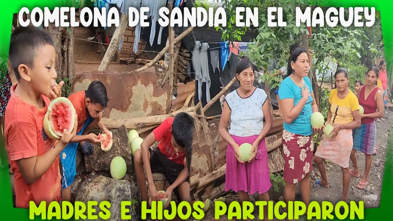 Los Bichos ponen hacer competencia de comelona de sandia a los ...