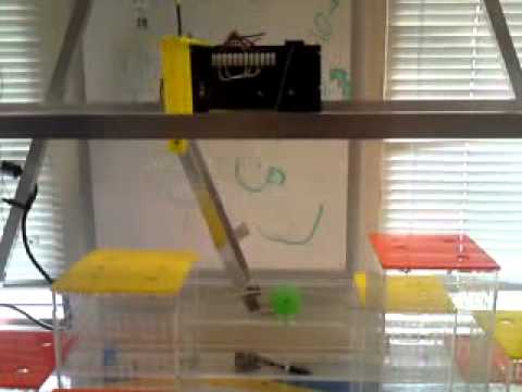 UCSD MAE 3 Final Robot - YouTube