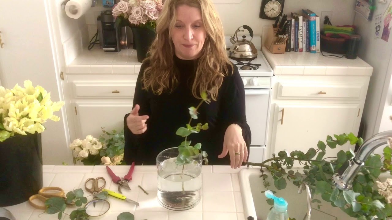 INTRO TO FLOWER ARRANGING - part 1 - YouTube