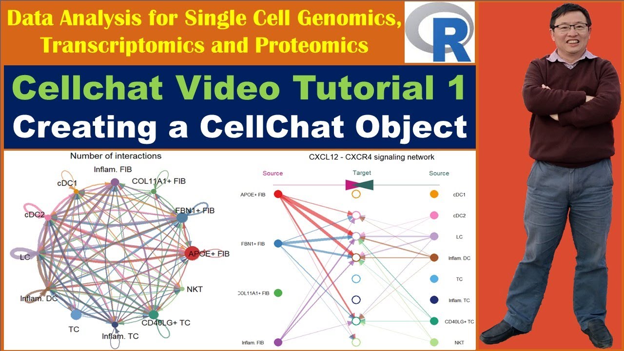 Cellchat Video Tutorial 1: Creating a CellChat object - YouTube